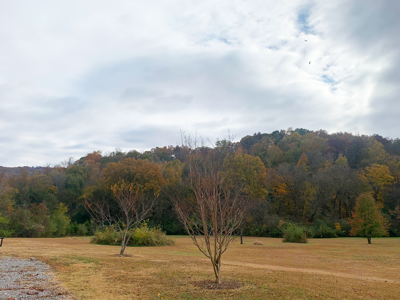 Reflections | The Ridge - Planet Forward