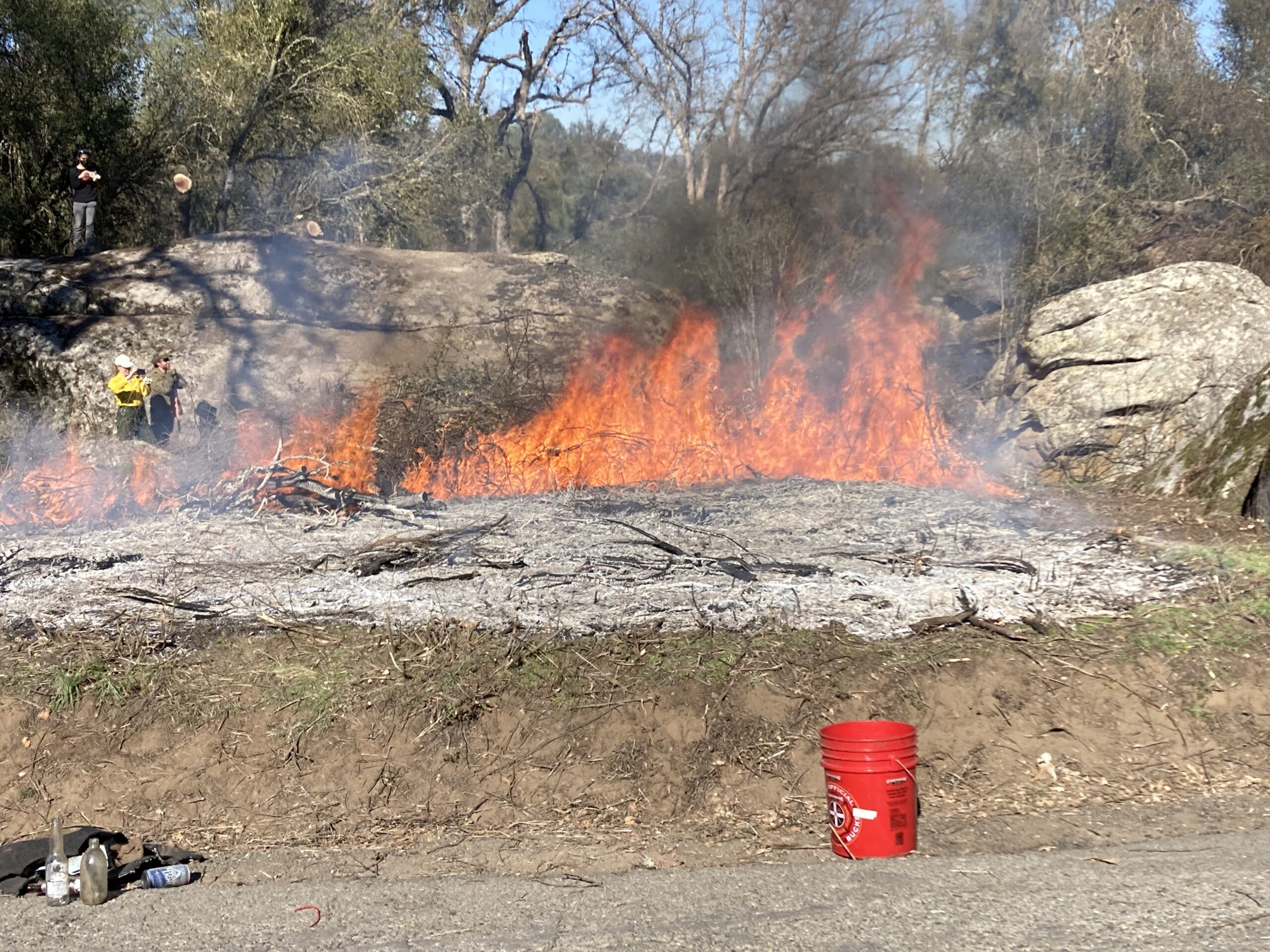 Not all fire is the same - Planet Forward