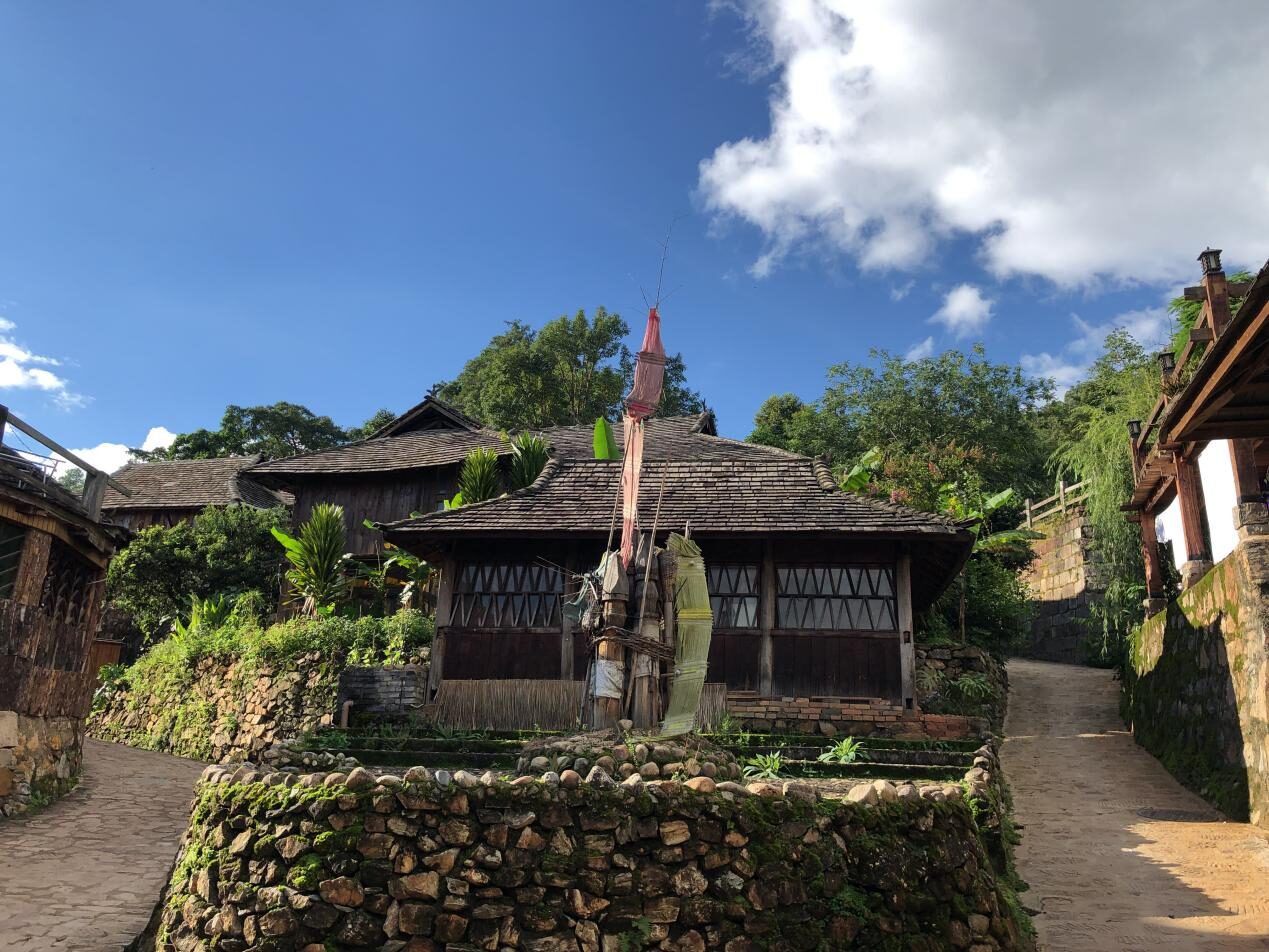 Traditional Blang sustainable food practices at Jingmai Mountain