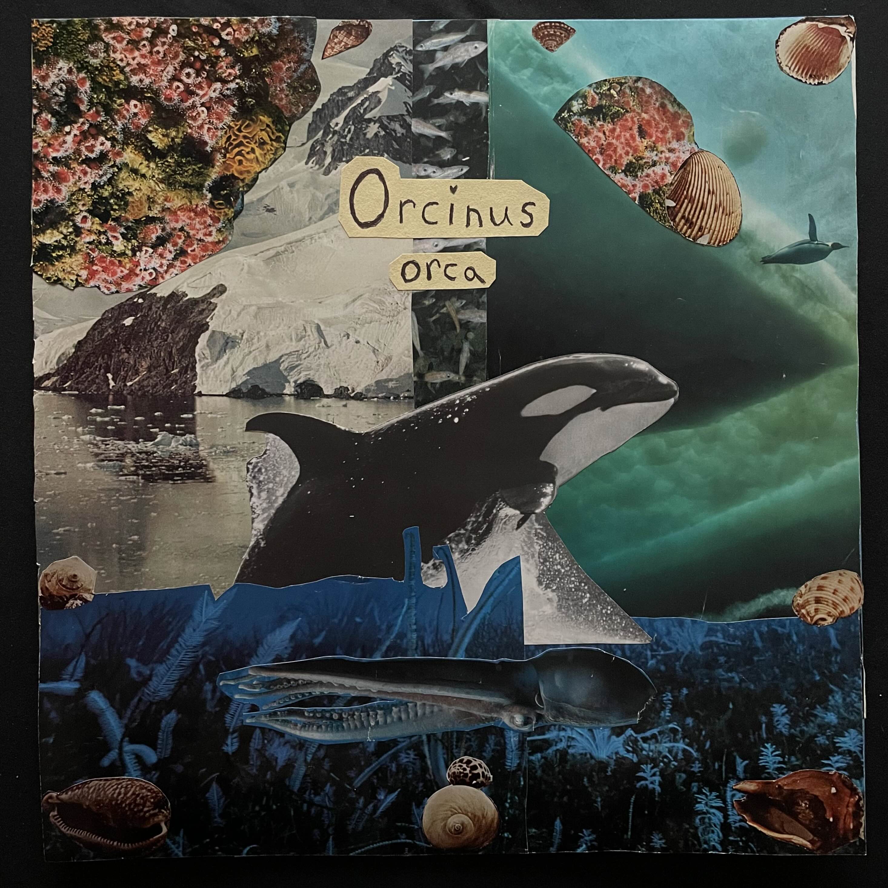Orca Pod-Cast - Planet Forward